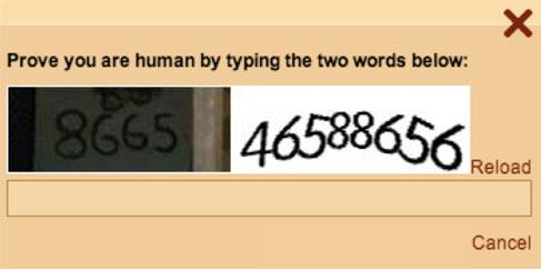 Shirley's Articles - Prove You're Human... In Emails Too! - Shirley Taylor